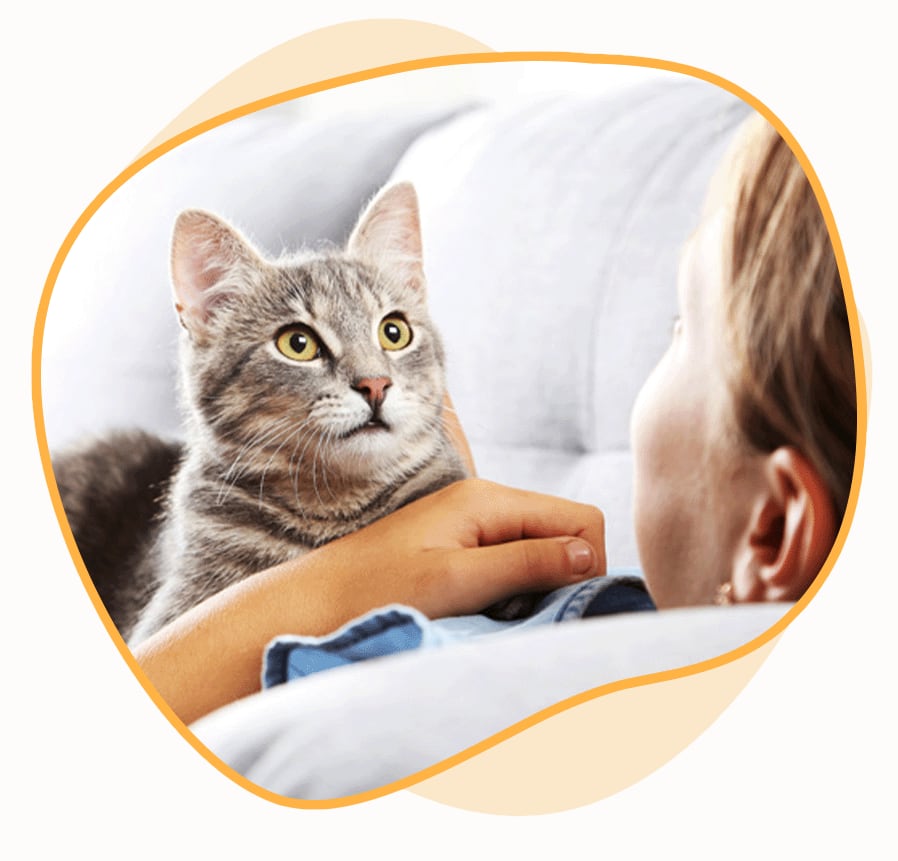 Why Choose Fetch Pet Care Services in Nashville